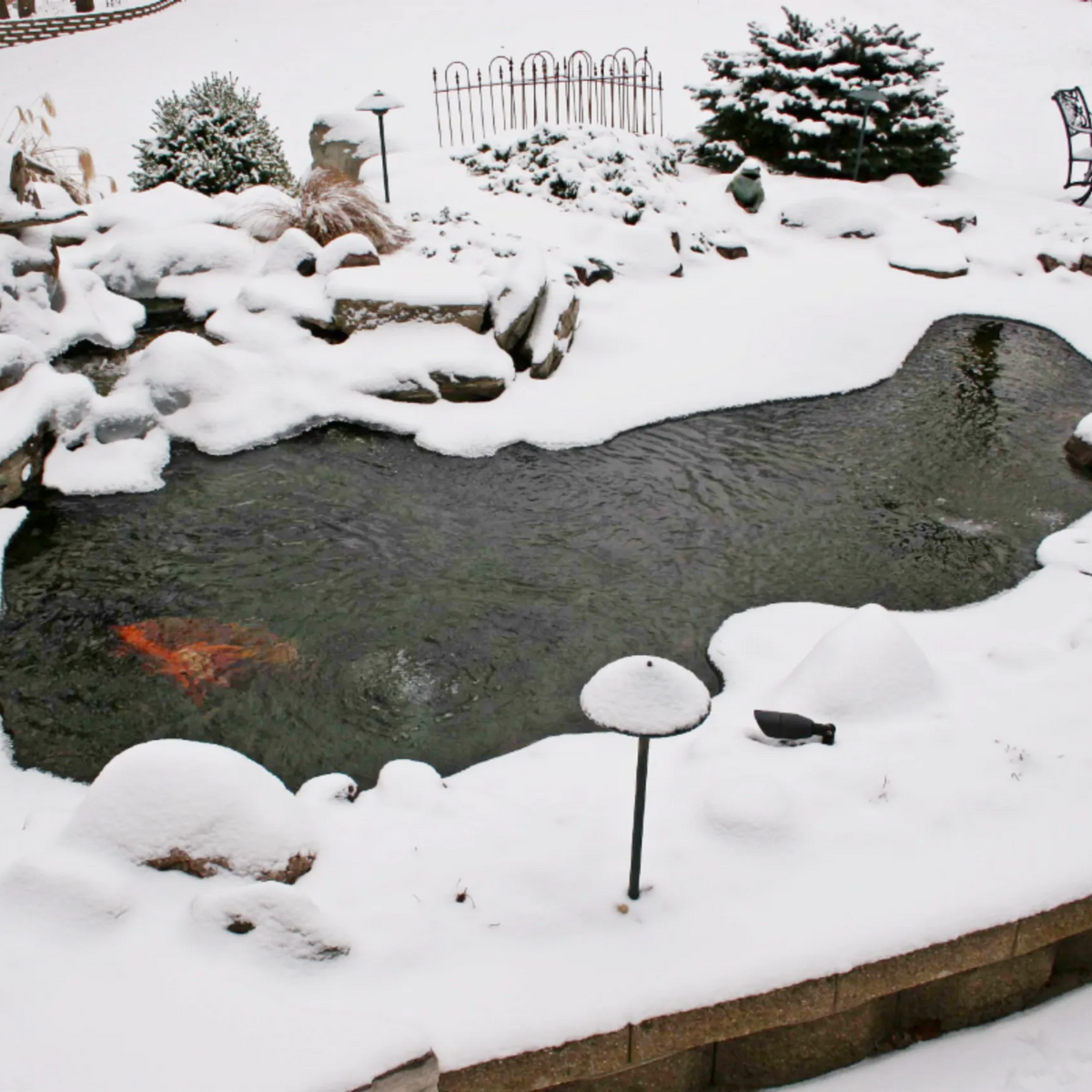 Winter Preparations (Part Two) – Pond and Garden Depot