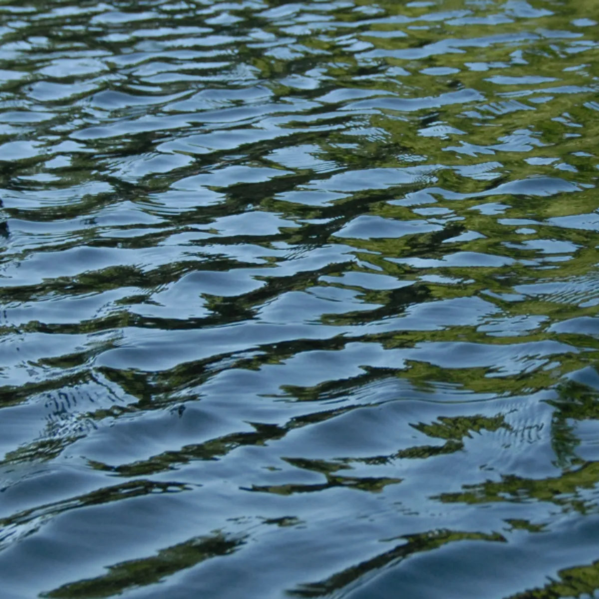 The Best Pond Treatments to Use this Spring – Pond and Garden Depot