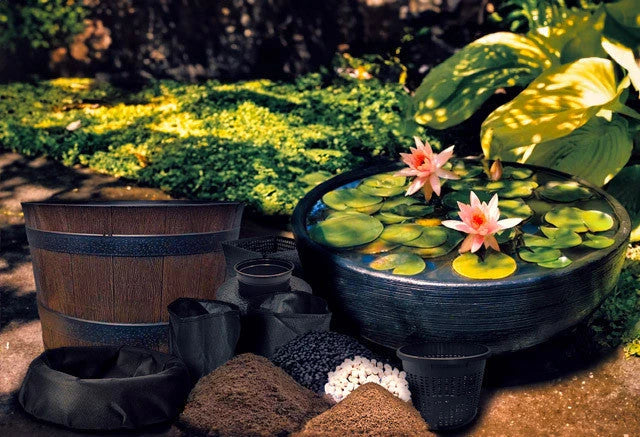 Aquatic Planting Supplies – Pond and Garden Depot
