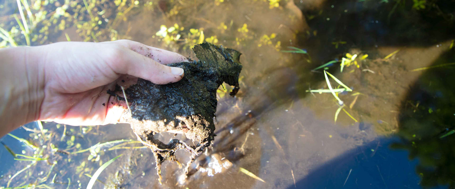 Pond Supplies, Kits, Water Features & Fountains | Pond & Garden Depot ...