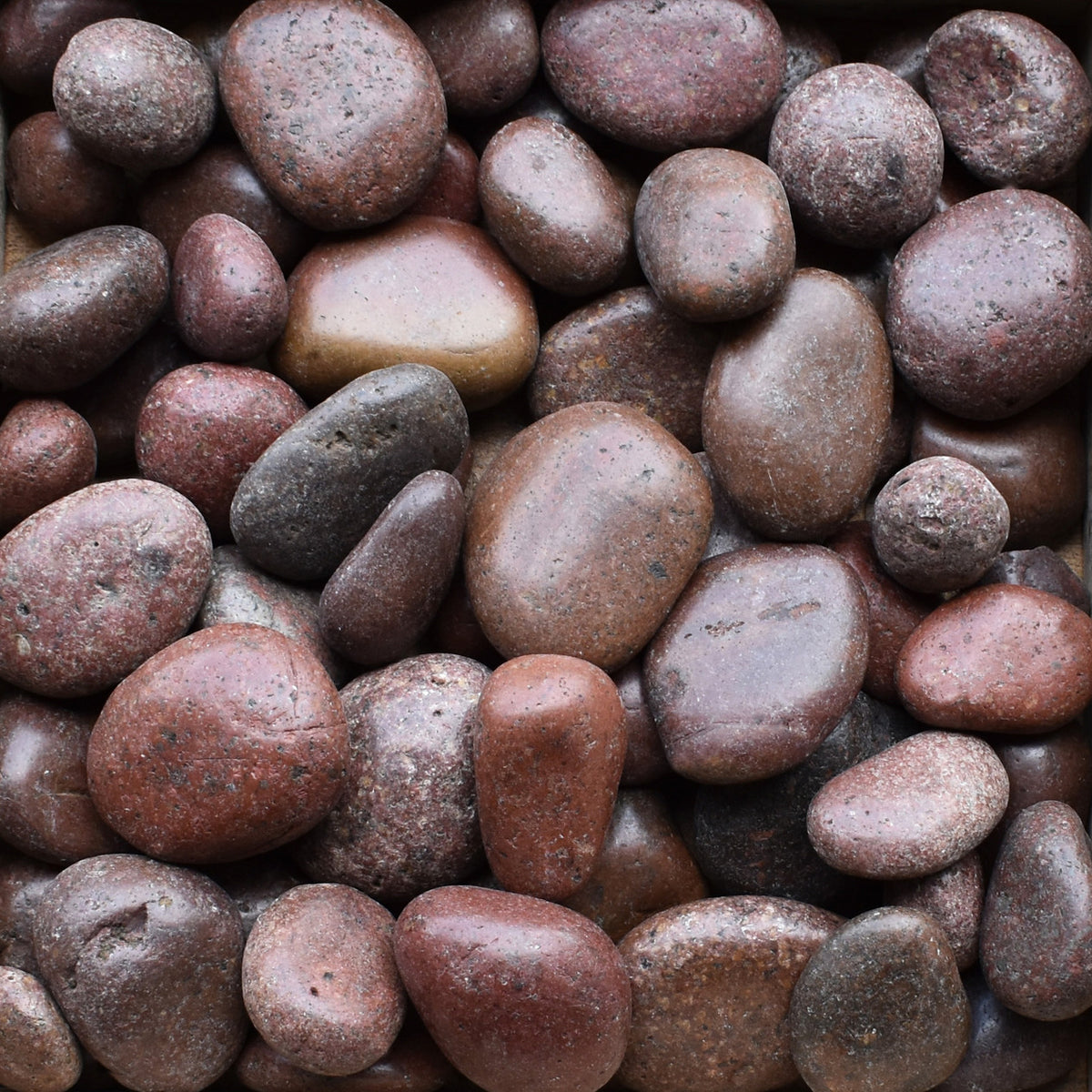Polished Red Beach Pebbles (By the Pallet) – Pond and Garden Depot