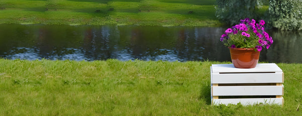 Contact Us – Pond and Garden Depot