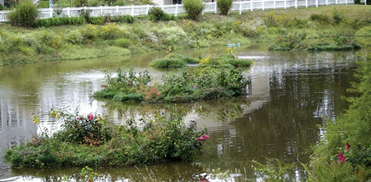 Floating Wetland Island Raft for Pond Plants | 2 Sizes – Pond and ...