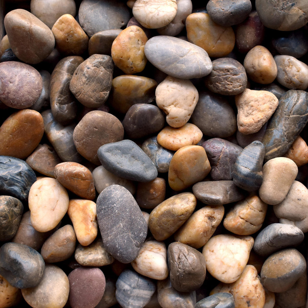 Polished Mixed Imported Beach Pebbles (Sample) – Pond and Garden Depot