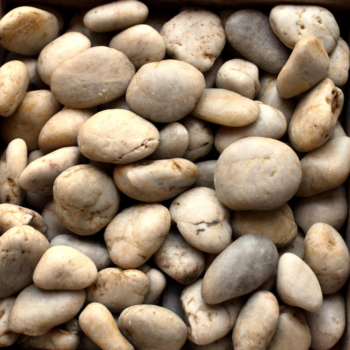 Polished White Imported Beach Pebbles (By the Pallet) – Pond and Garden ...